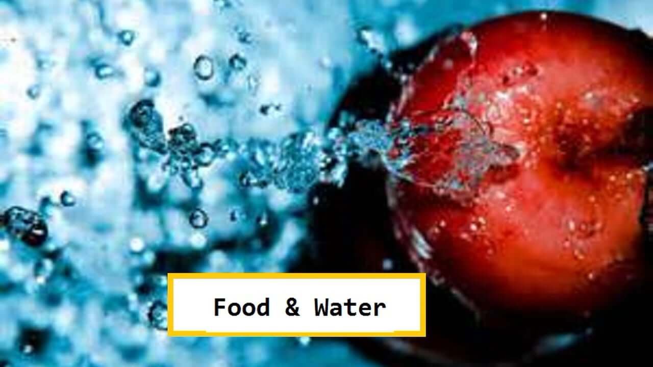 Food & Water - The Northstar Plan